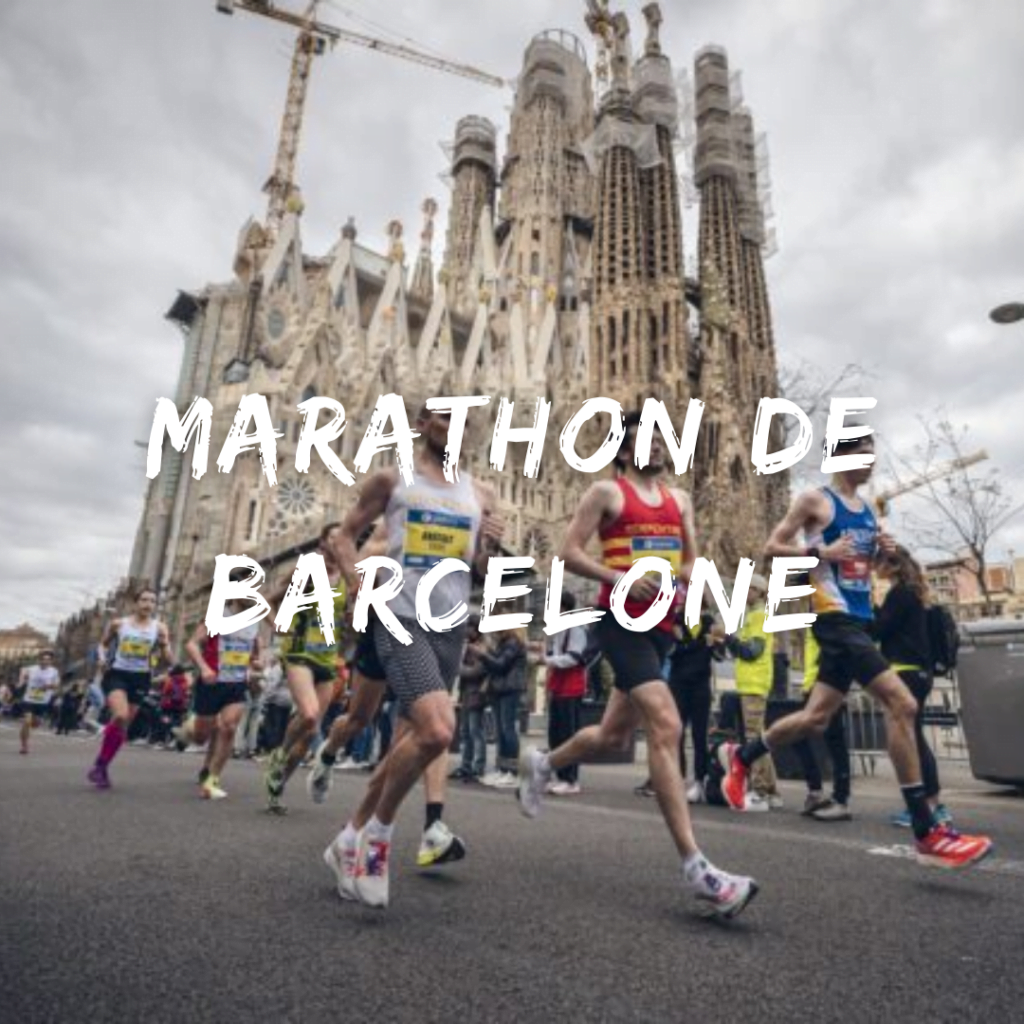Parcours Du Marathon De Barcelone 2024 - The Post Trace